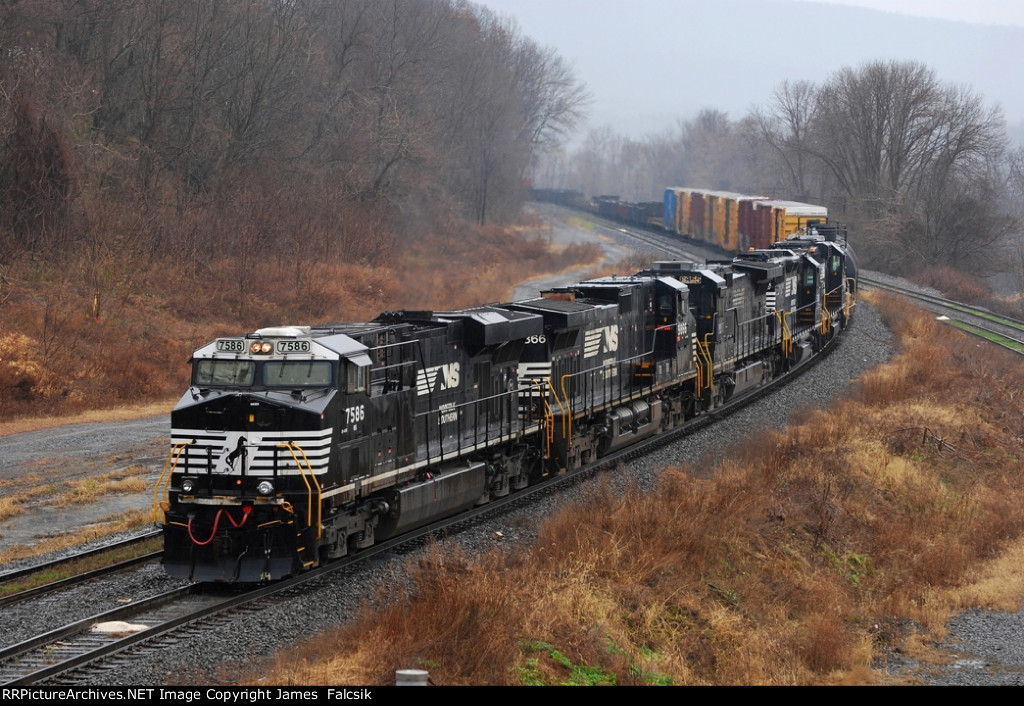 New Years Day 2012 in the rain
